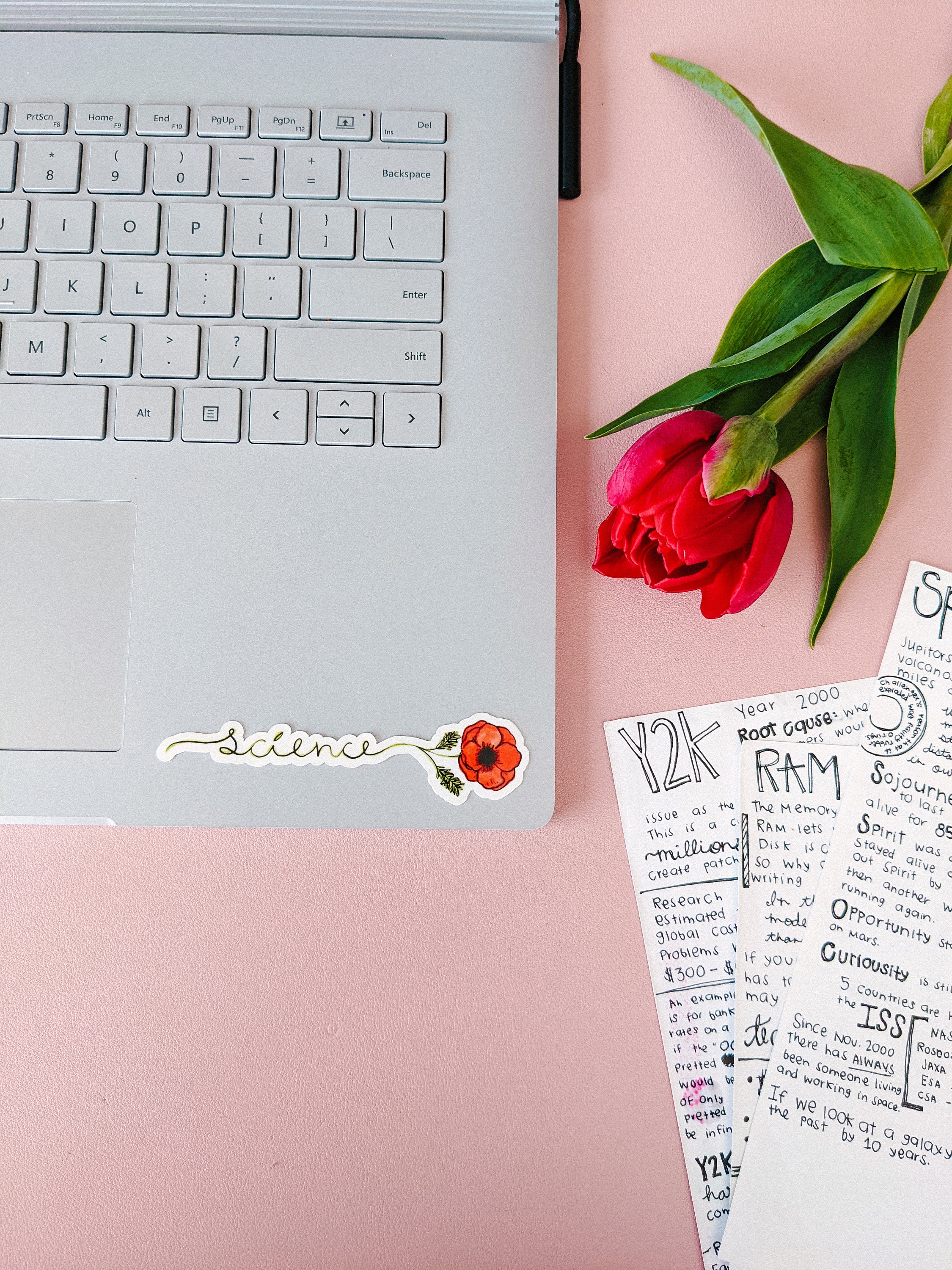 STEM Flower Stickers - Etsy