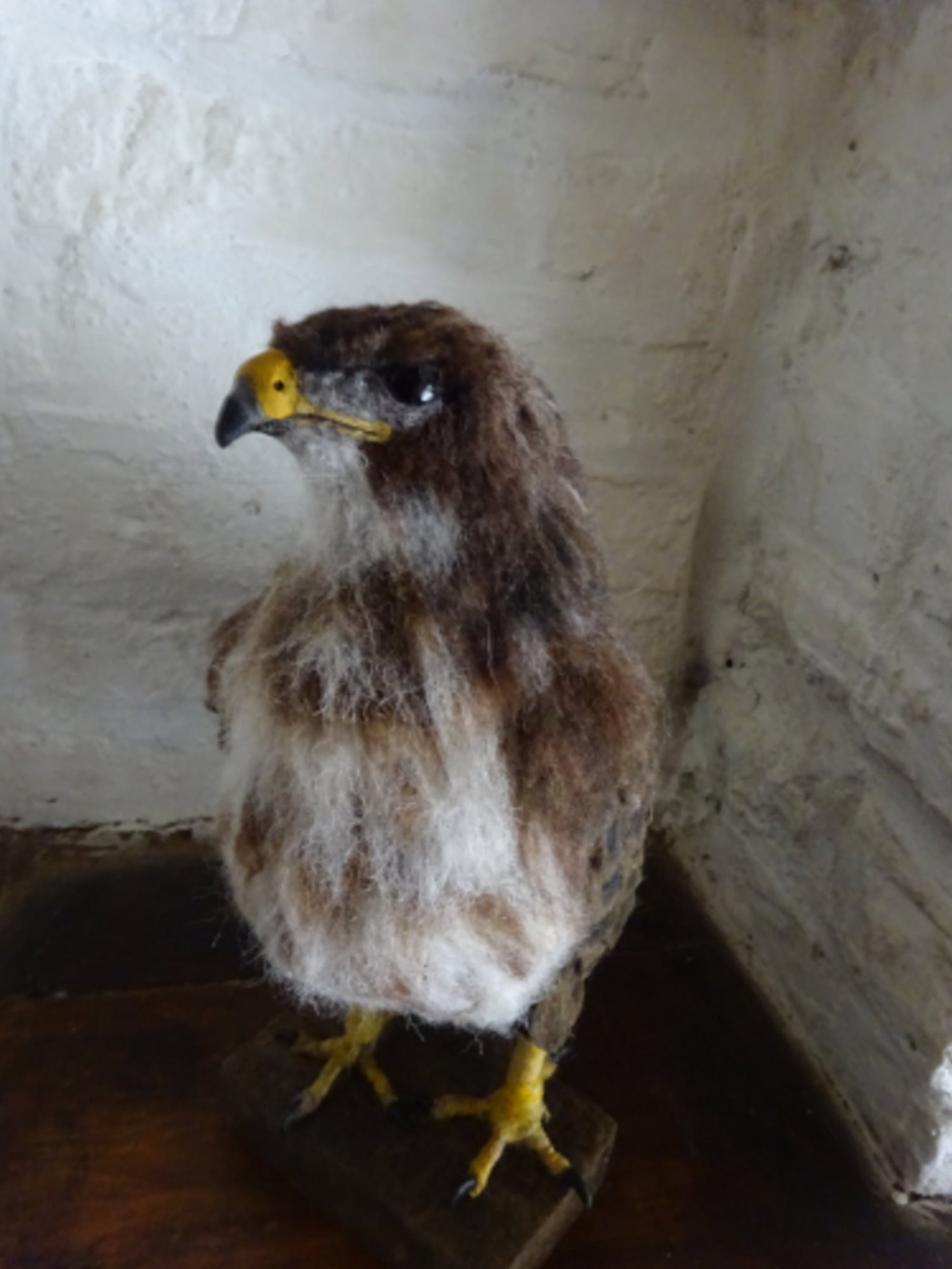 Large Custom Hand Made Needle Felted Bird Hawk Common Buzzard Sculpture ...