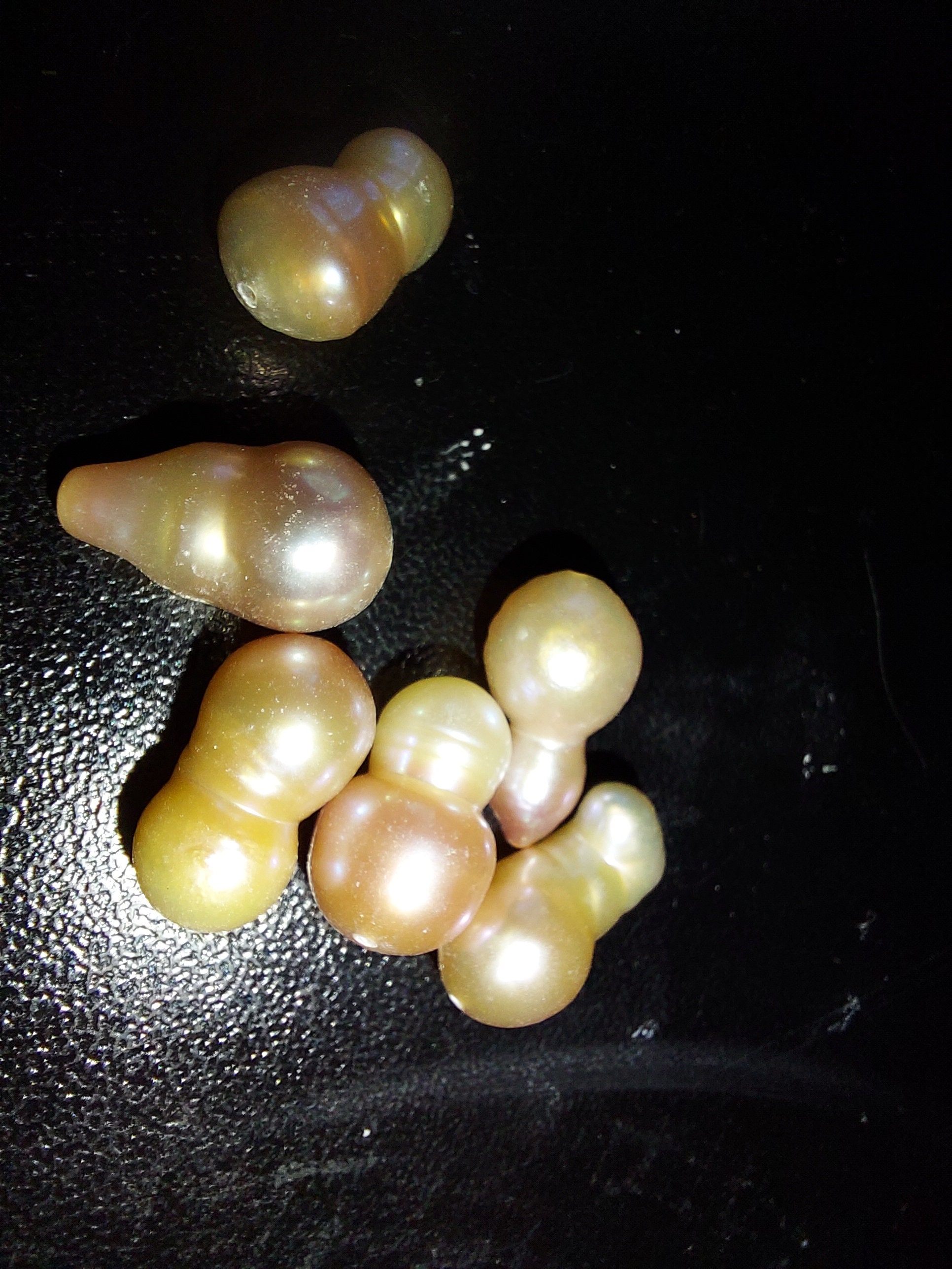 35ct Massive Natural Ocean Scallop Pearls Rare Australian Opalized 6 Pieces of Scallops Pearls ...