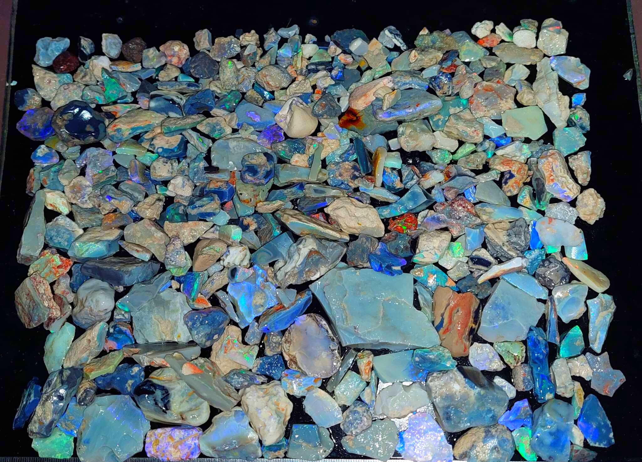 1kg / 5000ct Rough Opal Lighting Ridge Full of Color Amazing Opal Deal ...