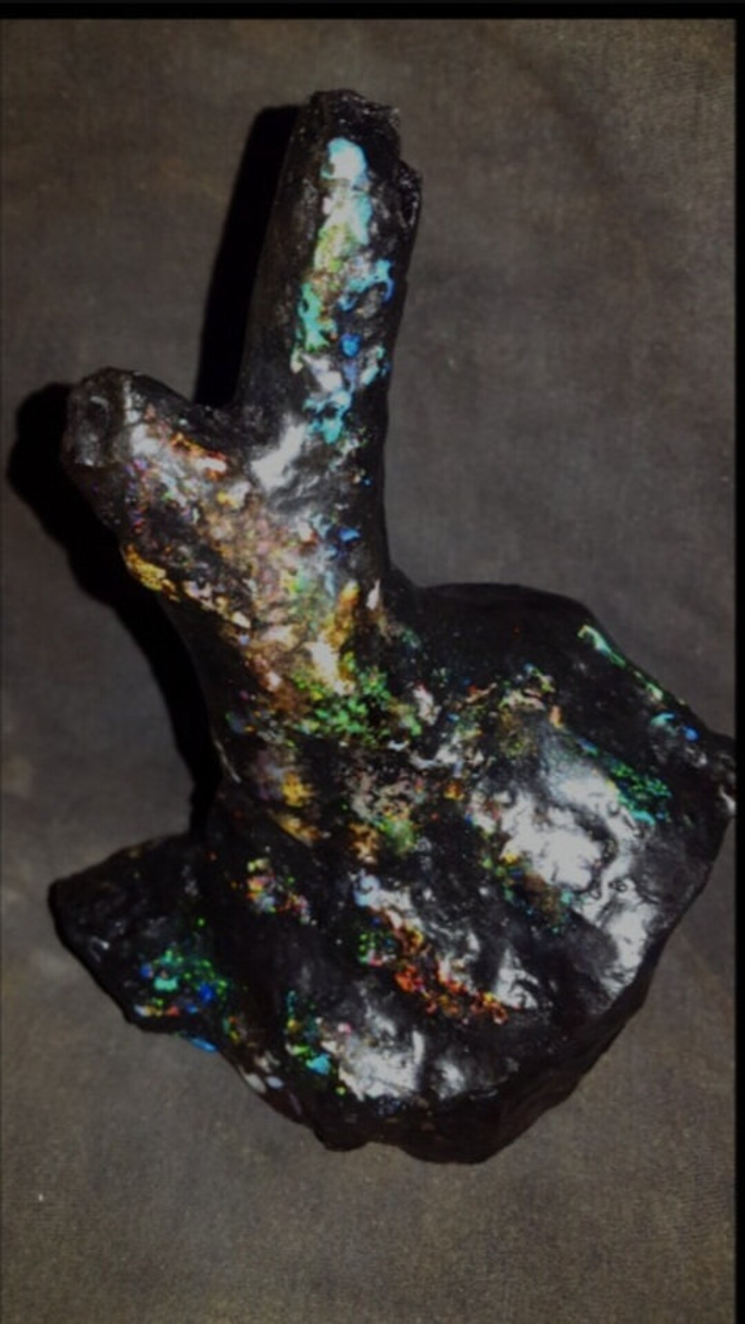Massive Opalized Wood Fossil Tree Opal Shape 2445ct Huge Size Lightning ...