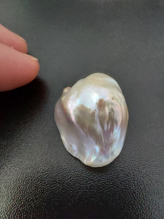 Giant Clam Pearl Price