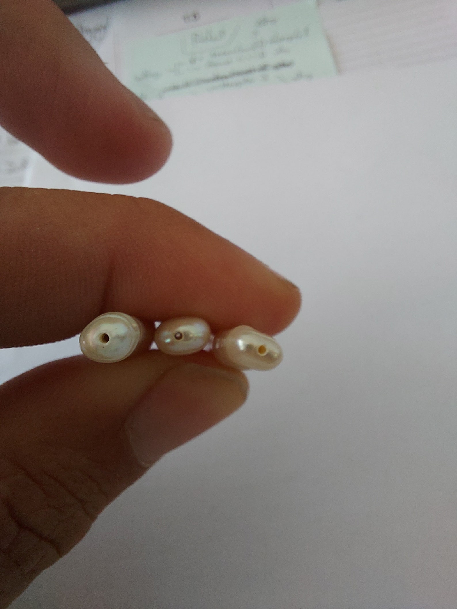 17.08ct Massive Natural Ocean Razor Clam Pearl Rare Australian White ...