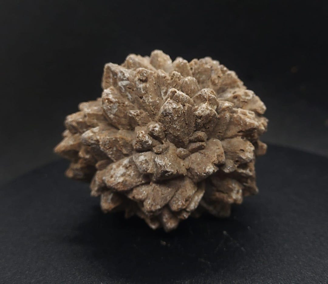 Huge White Cliff PINEAPPLE Opal Potch Fossil Ultra Rare Specimen No ...