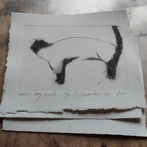 Cat Etching Original Handmade Etching Dry Point Printmaking - Etsy