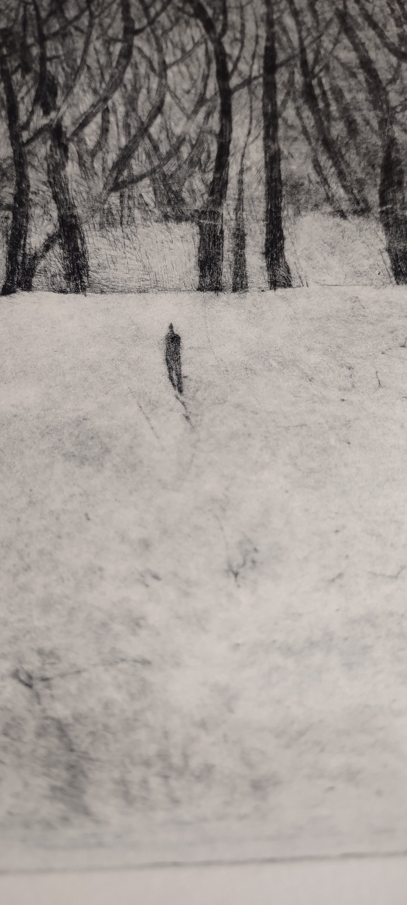 Original Etching-dry Point_winter Etching-printmaking-hand Print-snow ...