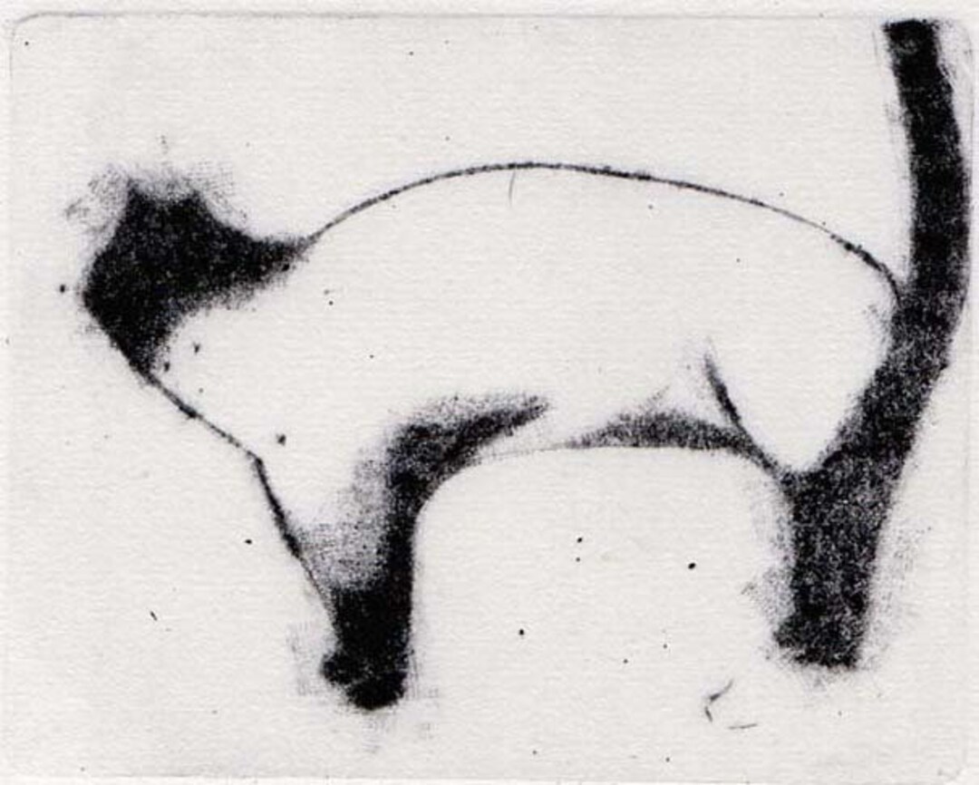 Cat Etching Original Handmade Etching Dry Point - Etsy