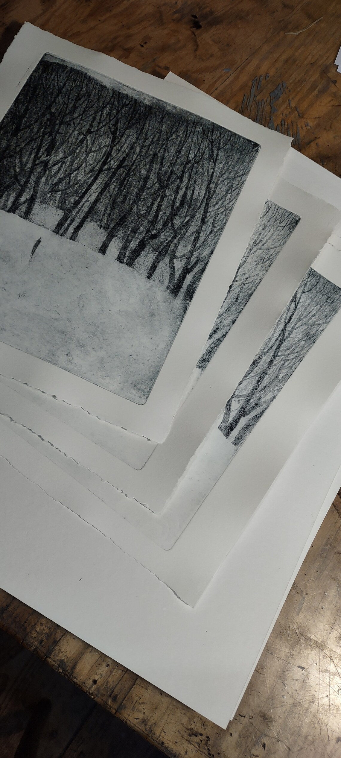 Original Etching-dry Point_winter Etching-printmaking-hand Print-snow ...