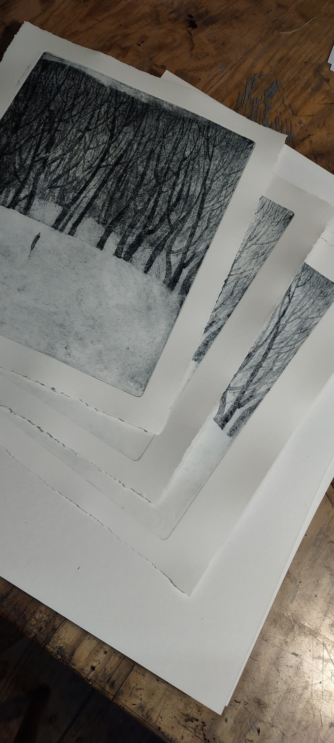 Original Etching-dry Point_winter Etching-printmaking-hand Prind-snow ...