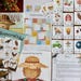 Scarecrow Unit | Preschool Printable Fall Activities, Sequencing ...