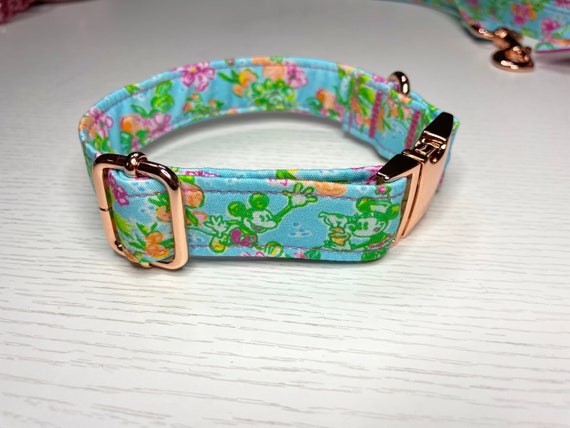 Sunshine dog collar store