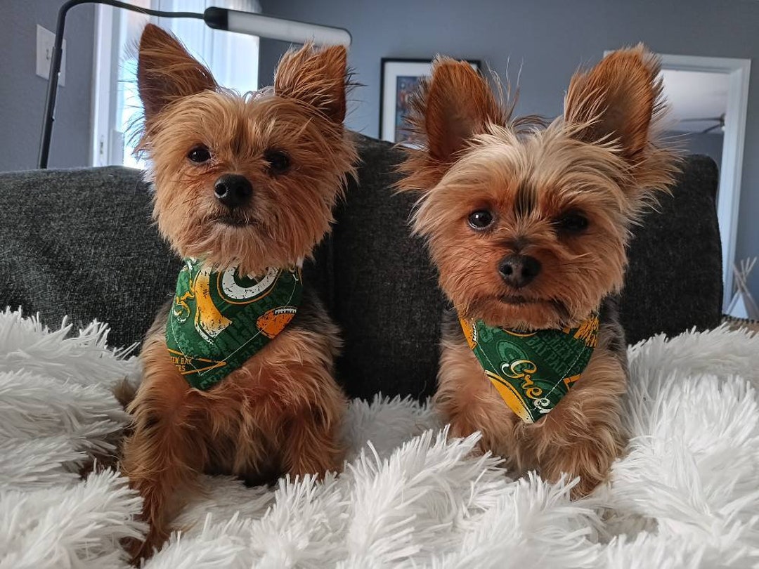 Green Bay Packers Dog Bandana - Adjustable Collar - Dog Bandana ...