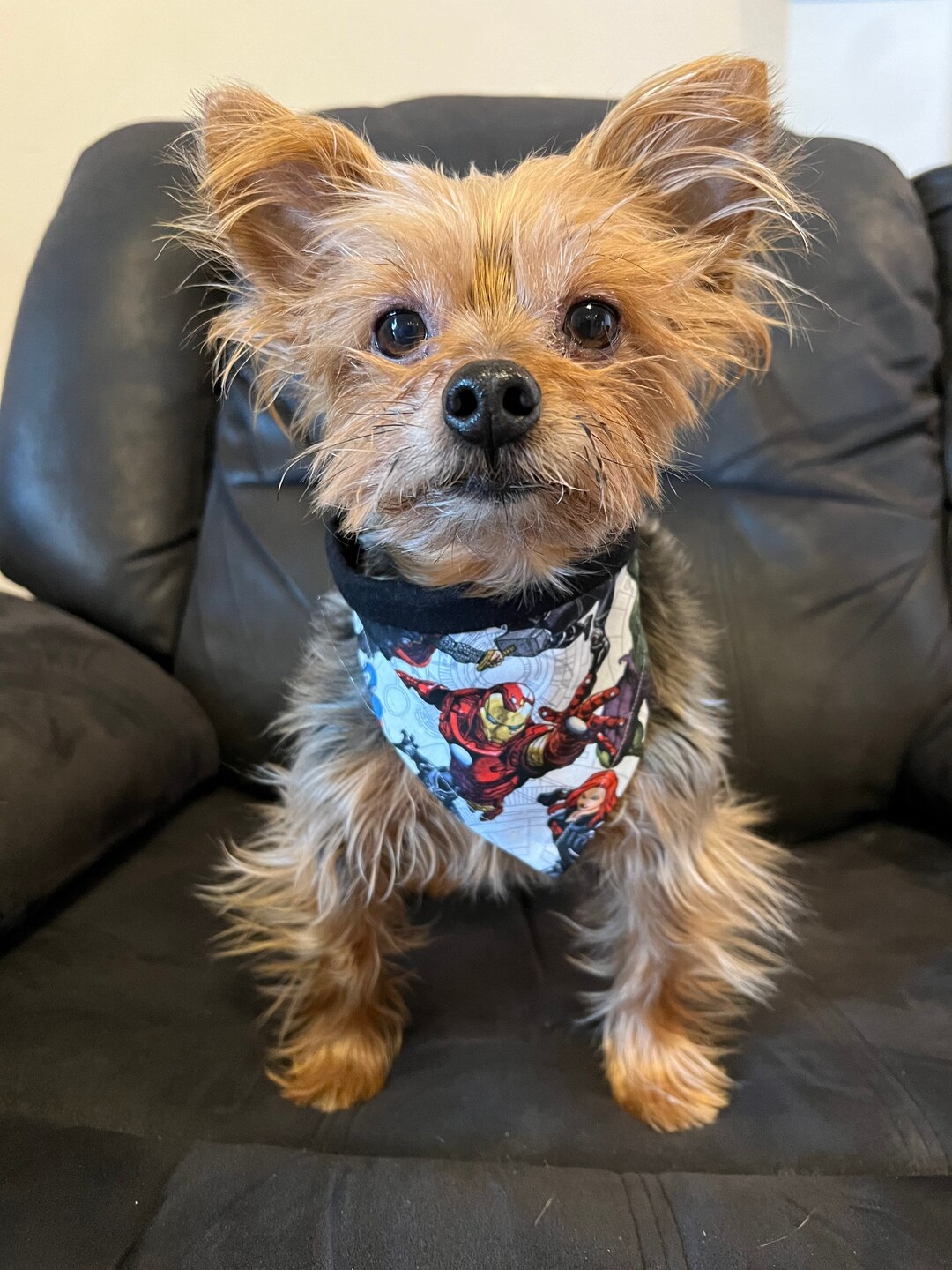 Marvel Bandana Adjustable Collar Dog Bandana Cute - Etsy