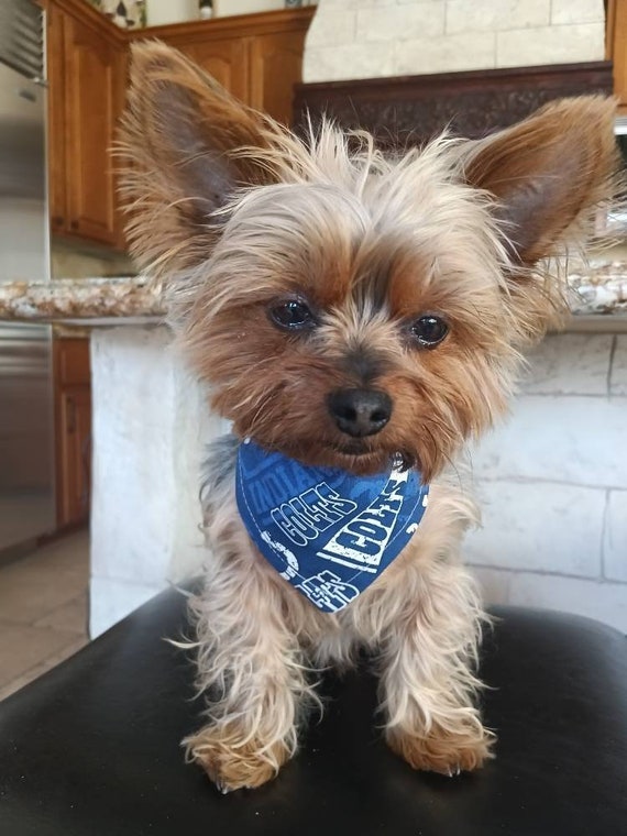 Colts Dog Bandana Adjustable Collar Dog Bandana Football - Etsy
