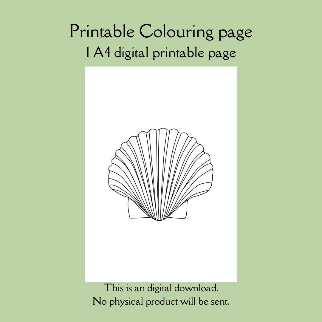 Cute Digital Printable Shell Colouring Page / Poster, Print for Adults ...