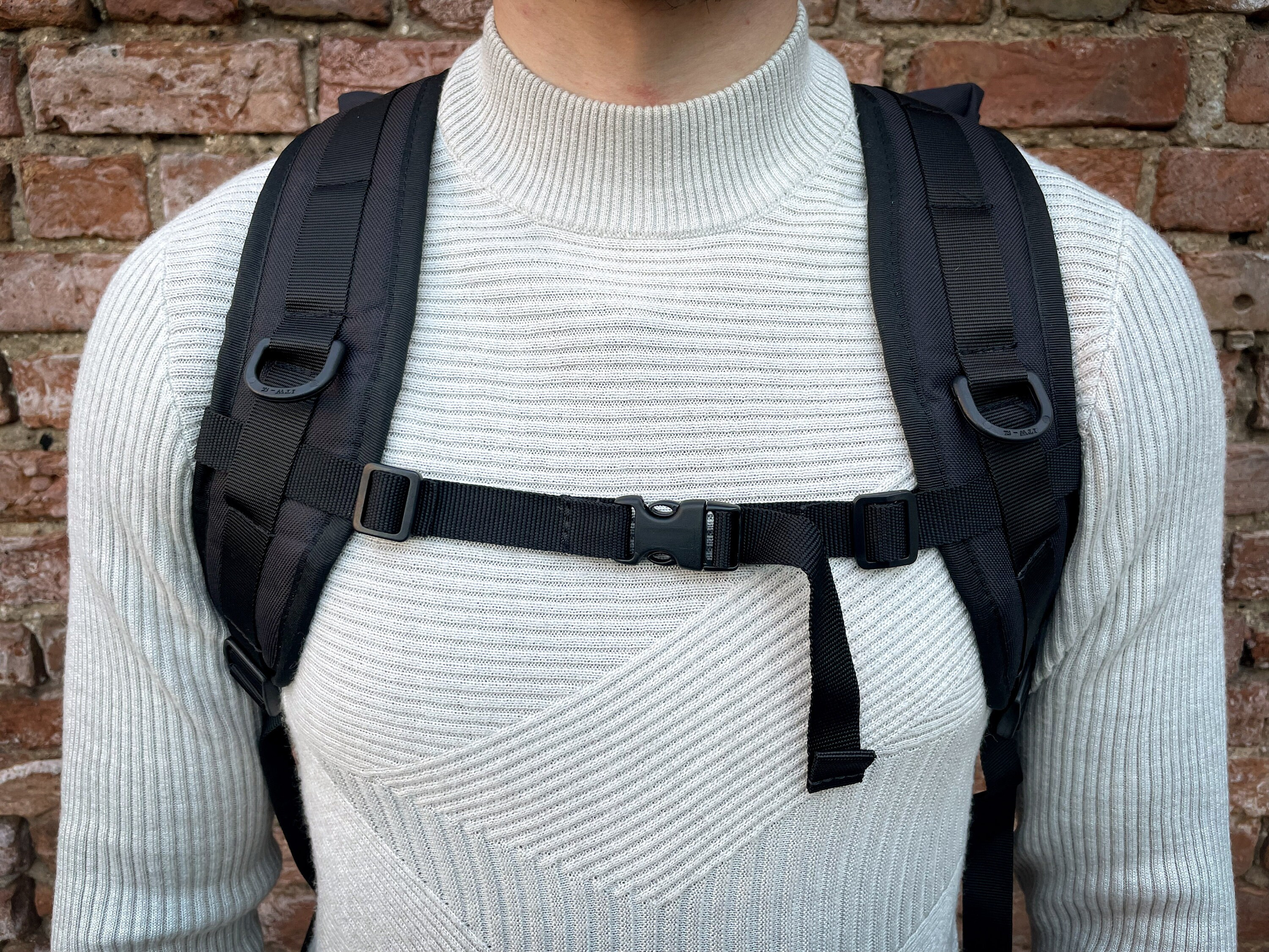 Alpha Roll Top Backpack, Laptop Backpack, Vegan Backpack , Black Bag ...