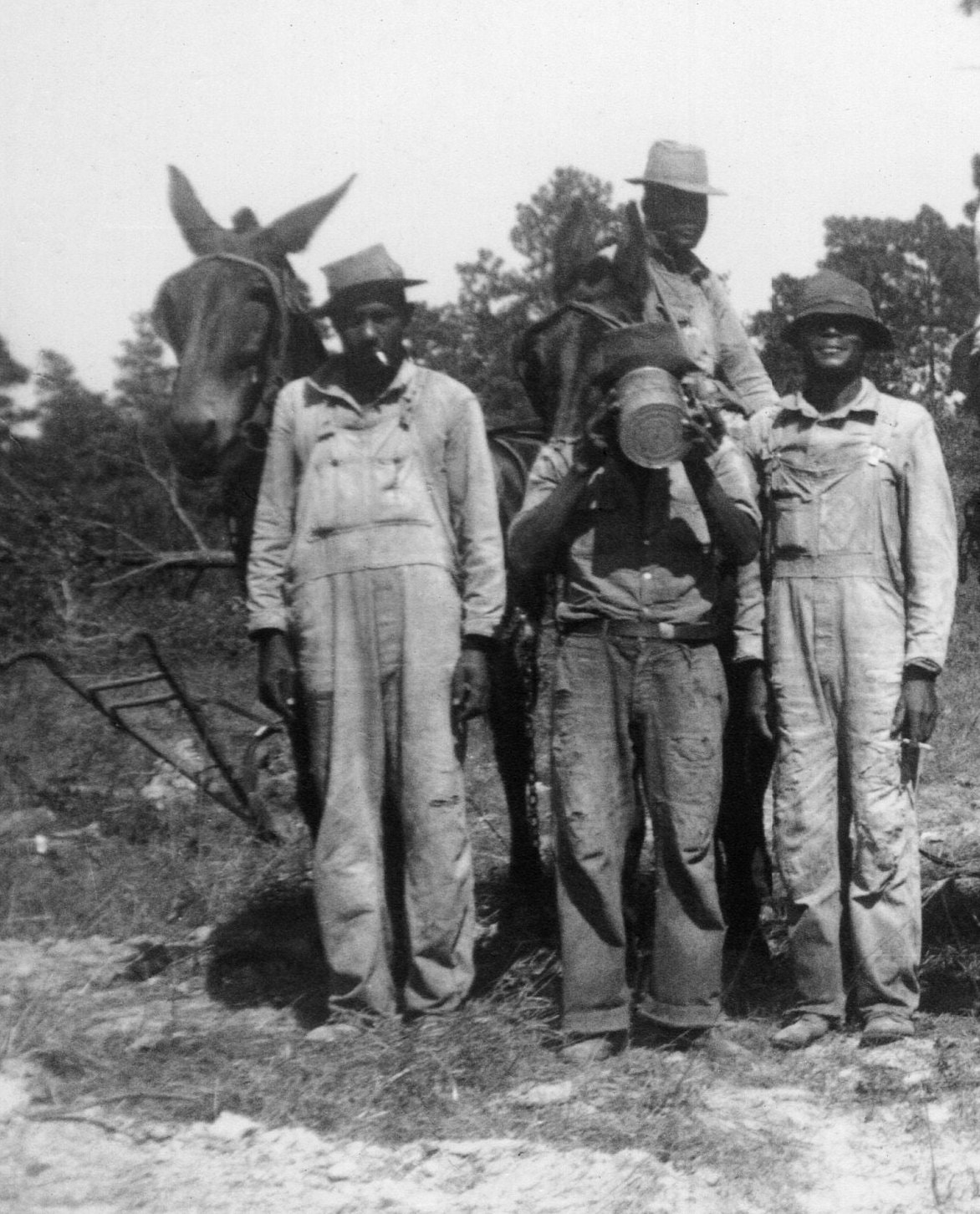 Farm Workers in Denim Overalls Photo Print | Vintage Black Americana ...