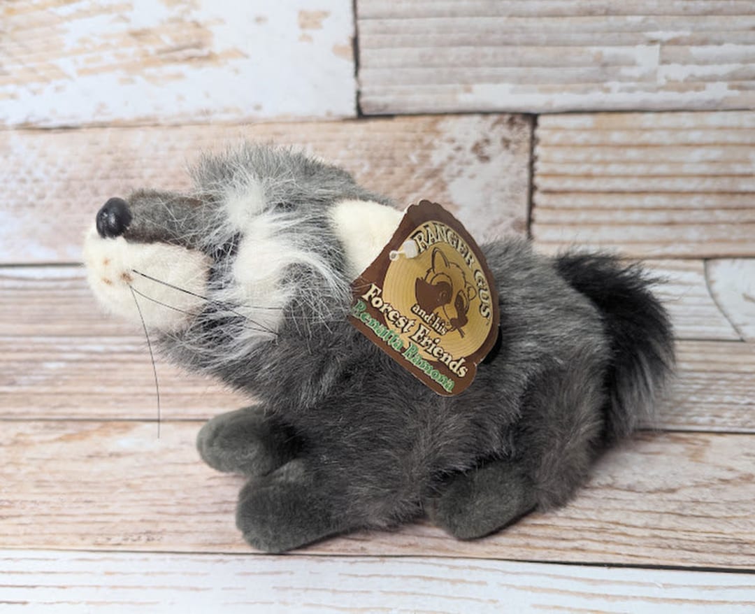 Renatta Ramona Raccoon Plush Like New Vintage Talking Toy - Etsy
