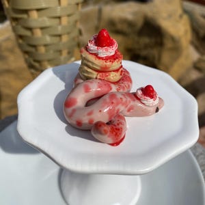 Snake Collection: Pancake Clay/ Pottery/ Art - Etsy