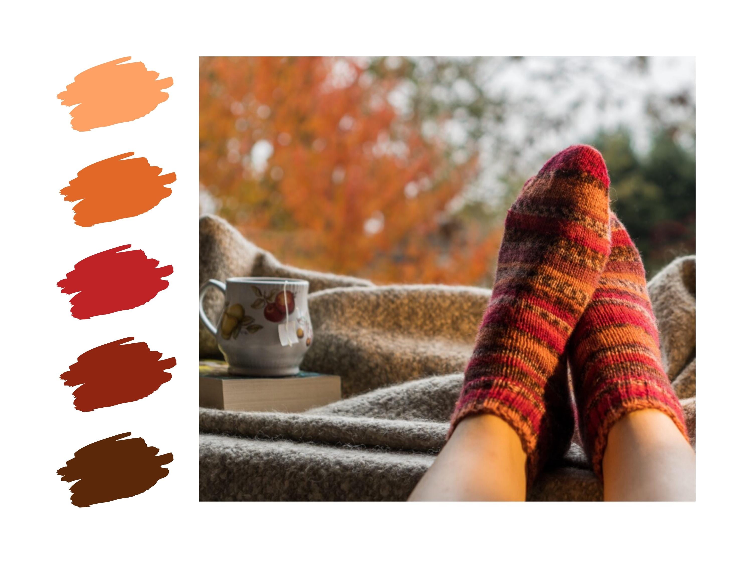 Reading Nook Alphabet Clipart Commercial Use, 5 Autumn Colors Numbers ...