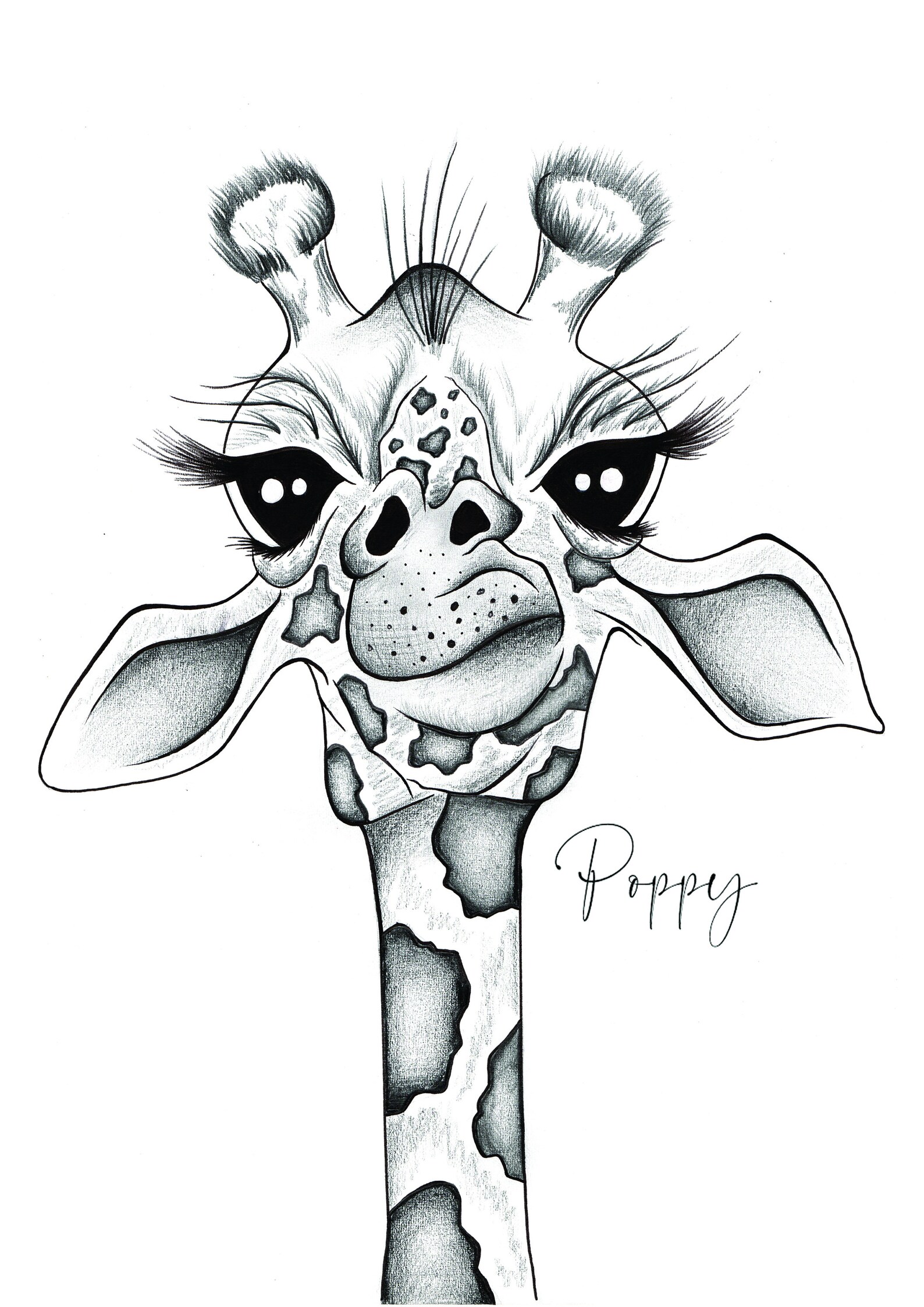 Hand Sketched Giraffe A4/A3 Print-Personalised Free | Etsy