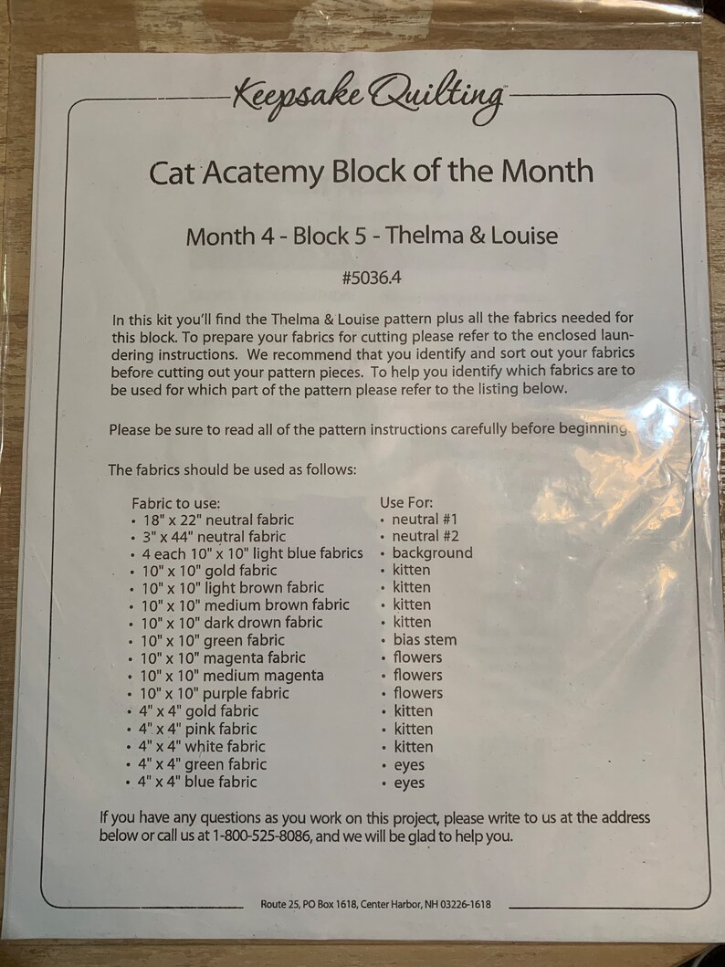 Java House Quilts CAT ACATEMY Block 5 Thelma & Louise Pattern by Karen ...