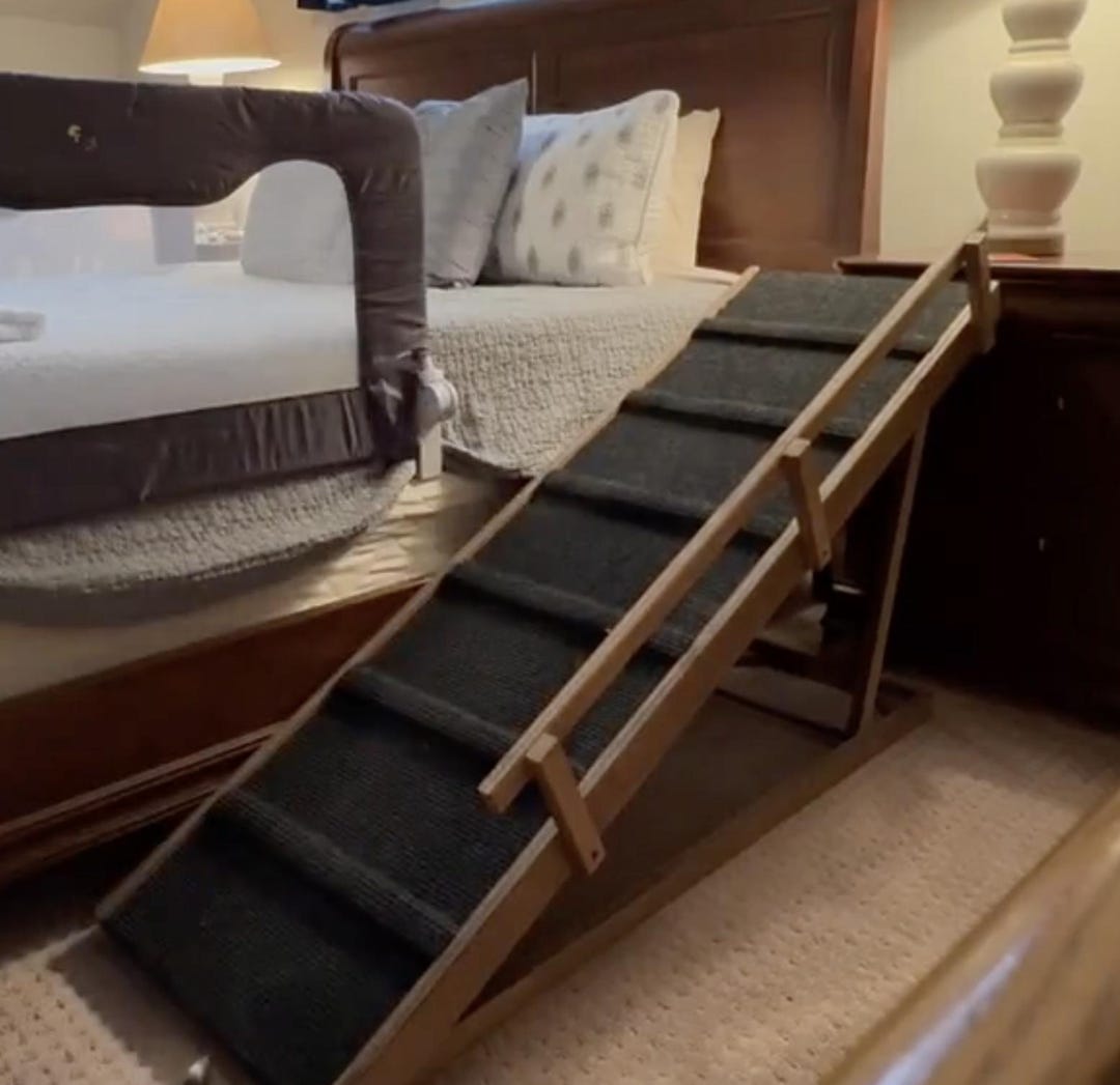 16"x56" Adjustable Pet Ramp – 24", 28", 32" Heights, One Side & Top ...