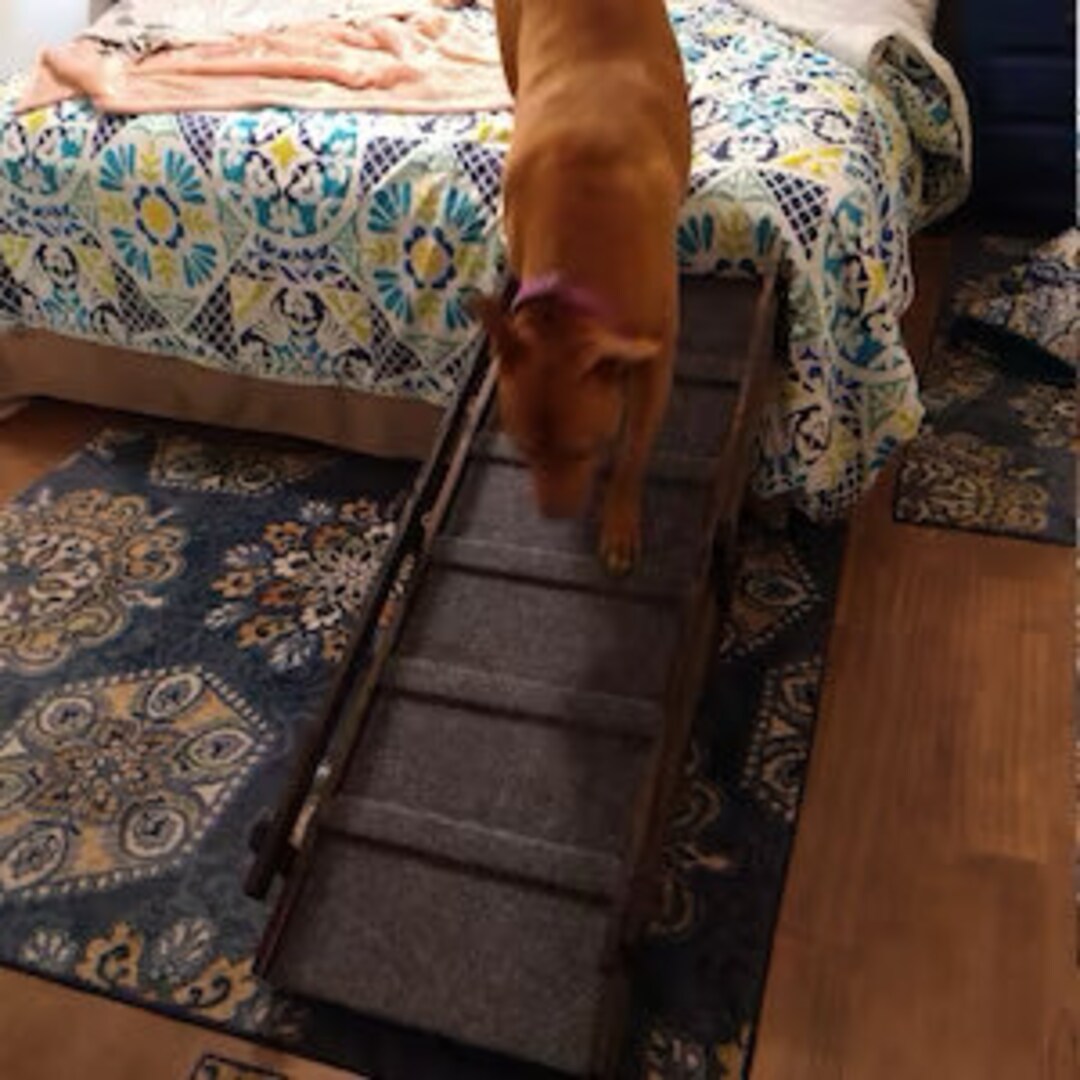 16X48 Adjustable Ramp 2 Side RAILS Carpet and Traction Bumps Large Dog ...