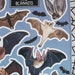 Bats Sticker Sheet Animal Planner Stickers Matte Vinyl Bullet Journal ...