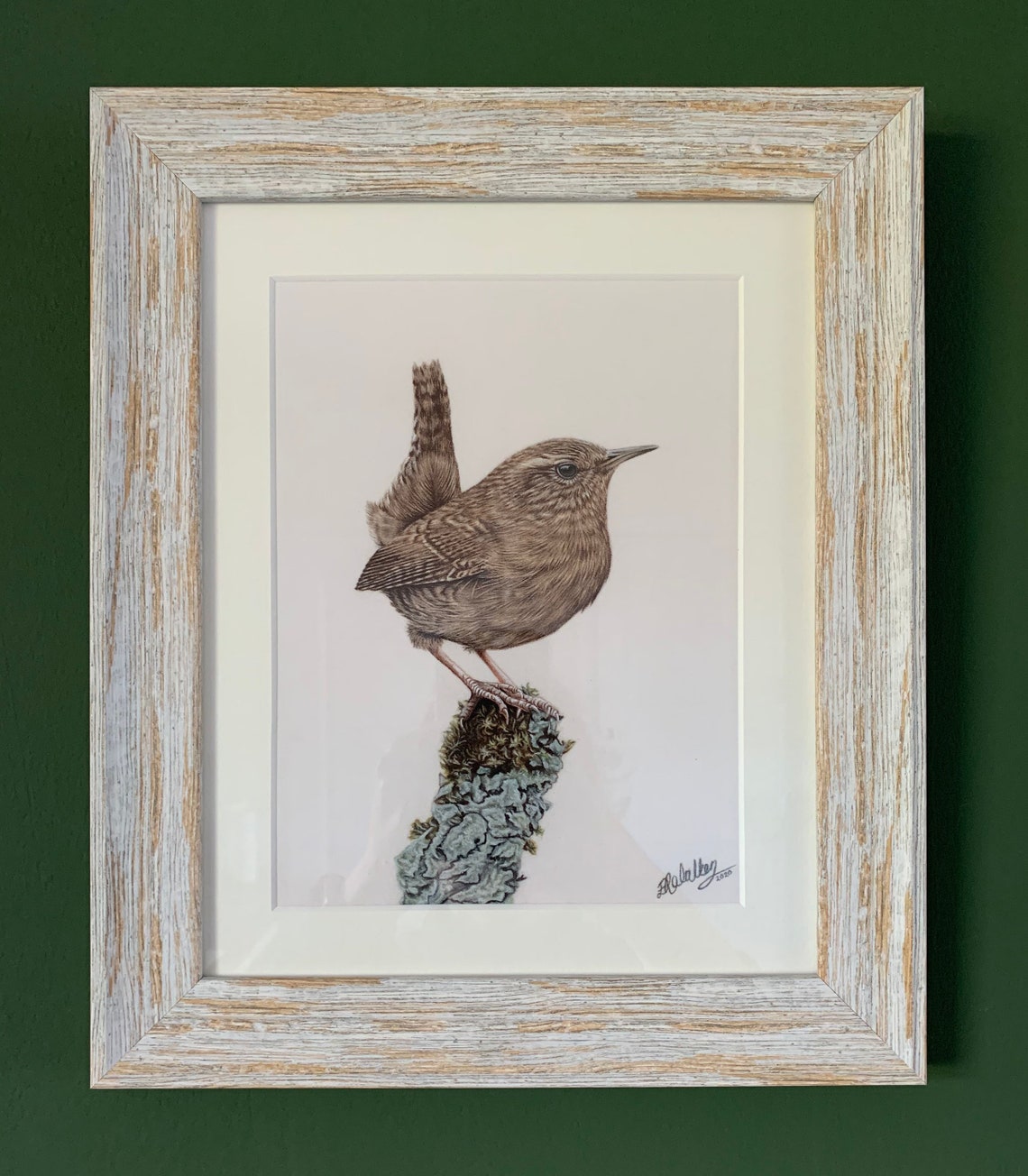 WREN Mounted PRINT British Wildlife British Wren Wren Wren - Etsy