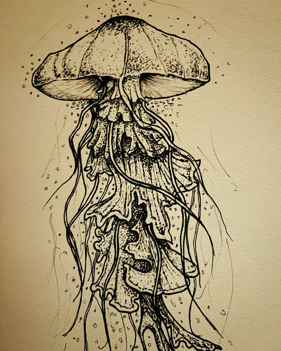 Jellyfish Sketch in Ink - Etsy