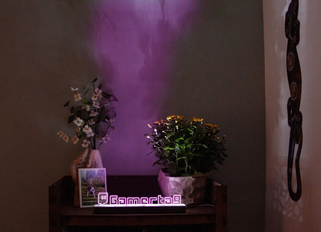 Custom Twitch Sign, Custom Gamertag Light, Twitch Neon Sign, Twitch ...