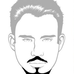 Realistic Fake Moustache and Small Beard Set for Skye. - Etsy