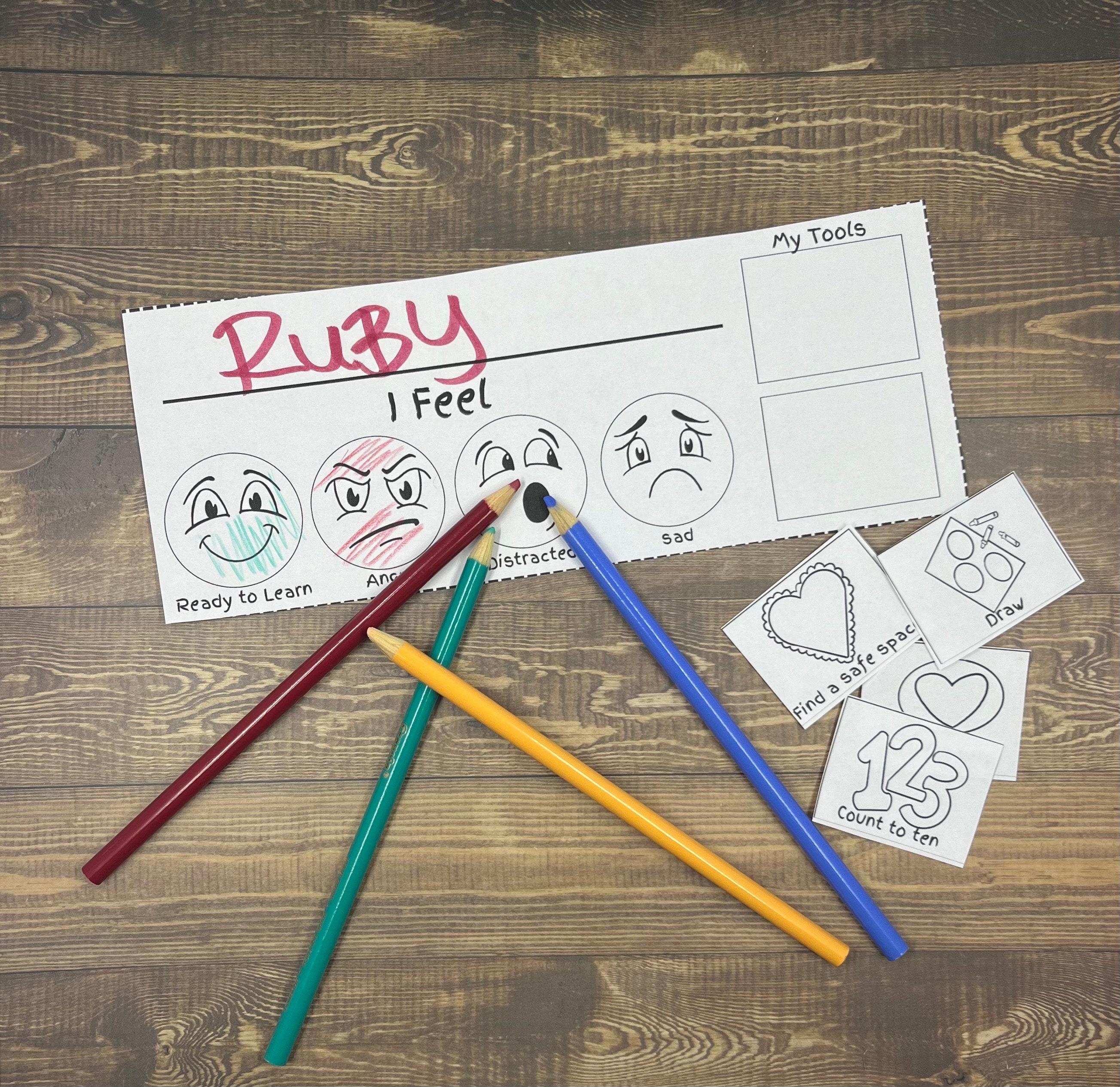 Self Regulation Classroom Nametag, Classroom Management Tool, Social ...