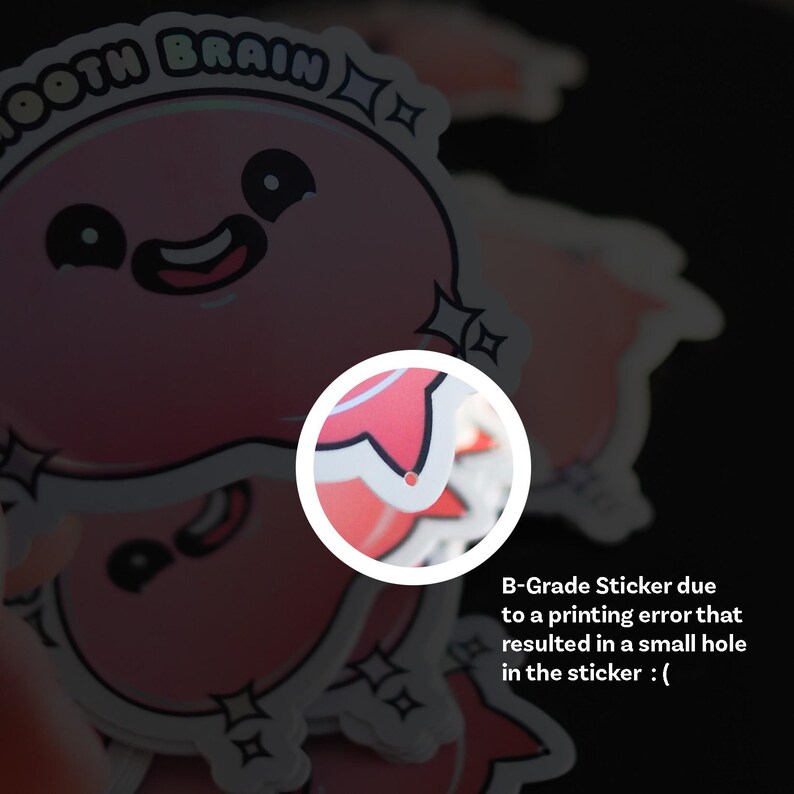Smooth Brain (b-grade) | Holographic Vinyl Sticker | No Thoughts, Head ...