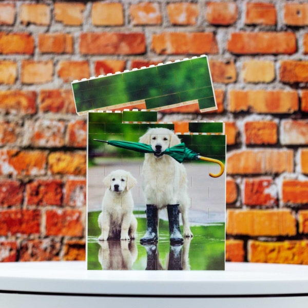 Acrylic Building Blocks - Etsy