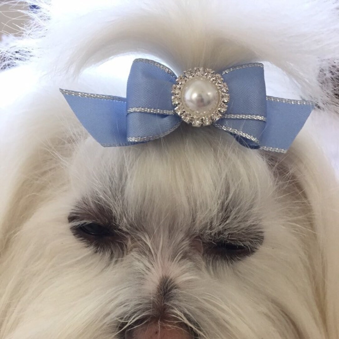 Petite Dog Bows,small Dog Hair Bows,pigtail Bows for Dogs,bows for ...