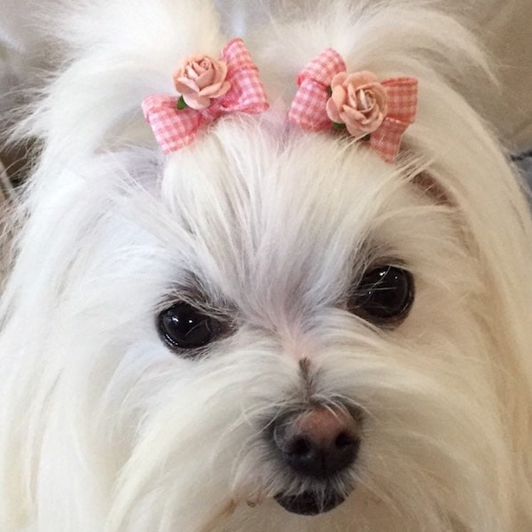 Dog Hair Bows - Etsy