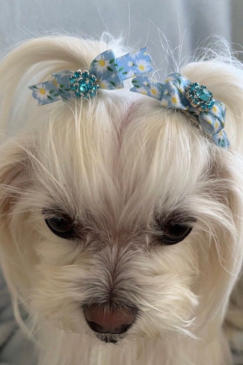 Petite Dog Bows,small Dog Hair Bows,pigtail Bows for Dogs,bows for ...
