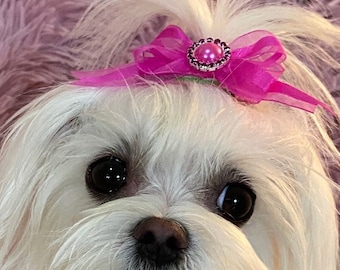 Shih Tzu Hair Bows | Etsy