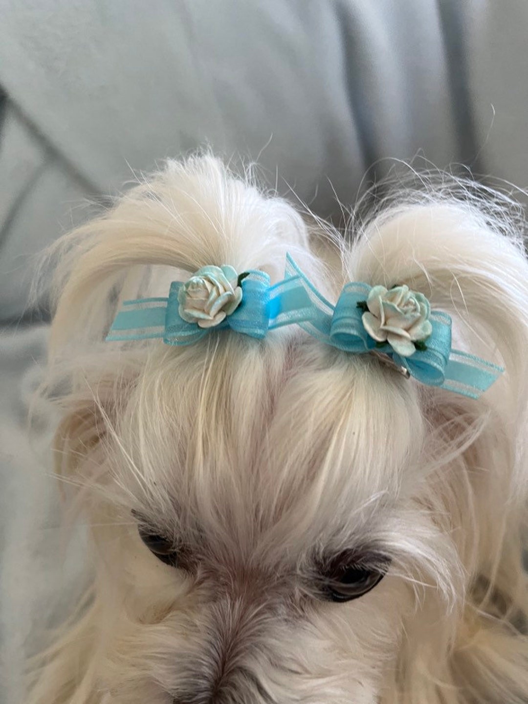 Petite Dog Bows,small Dog Hair Bows,pigtail Bows for Dogs,bows for ...