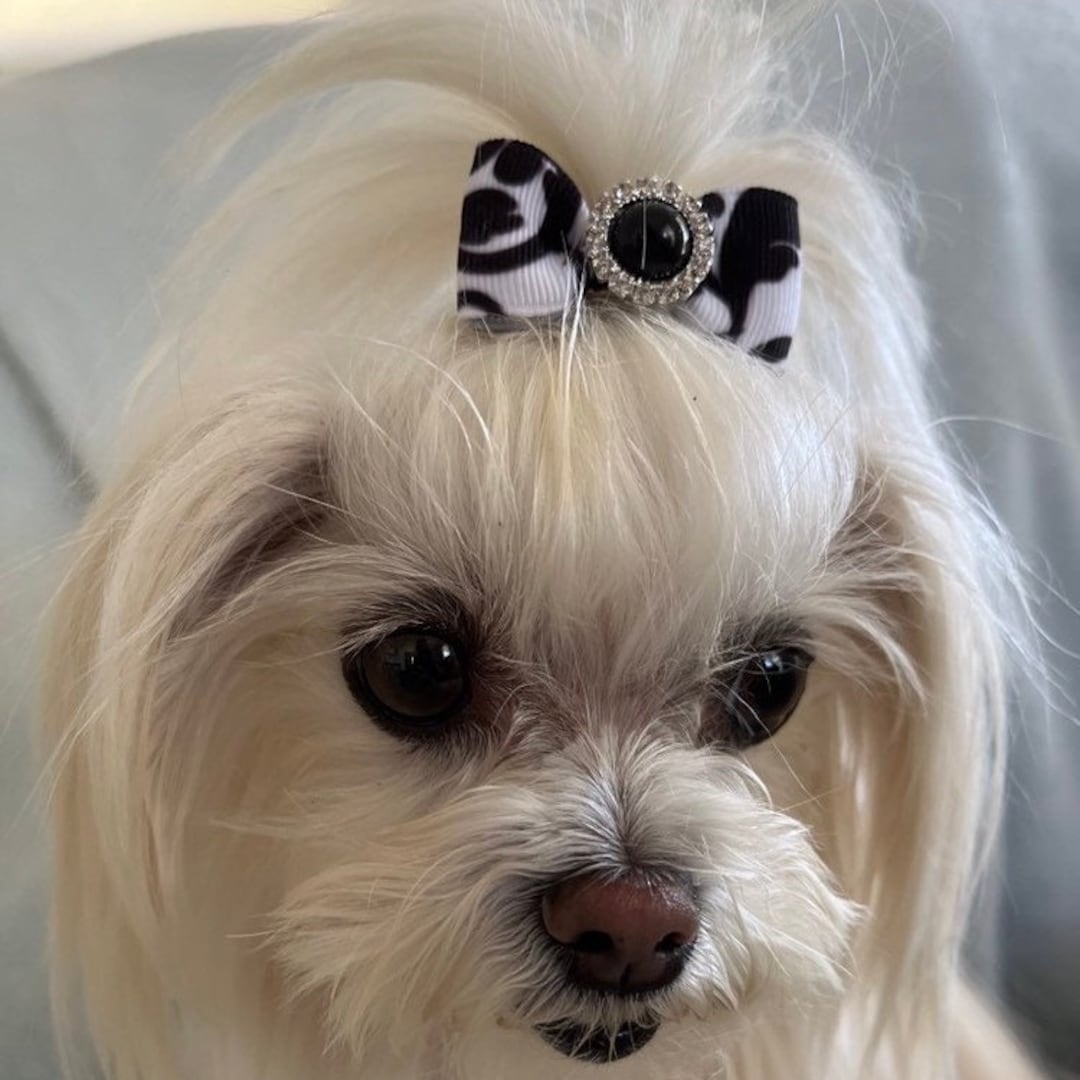 Petite Dog Bows,small Dog Hair Bows,pigtail Bows for Dogs,bows for ...