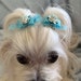 Petite Dog Bows,small Dog Hair Bows,pigtail Bows for Dogs,bows for ...