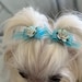 Petite Dog Bows,small Dog Hair Bows,pigtail Bows for Dogs,bows for ...
