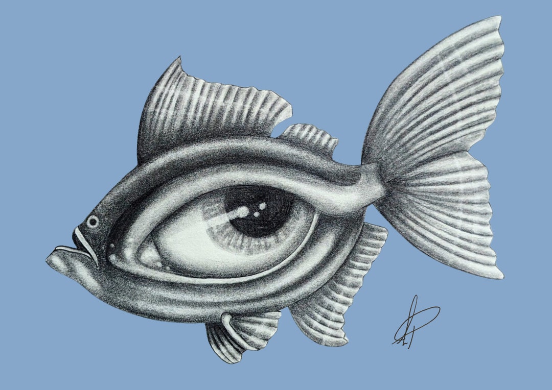 Fish Eye Pencil Drawing Print - Etsy