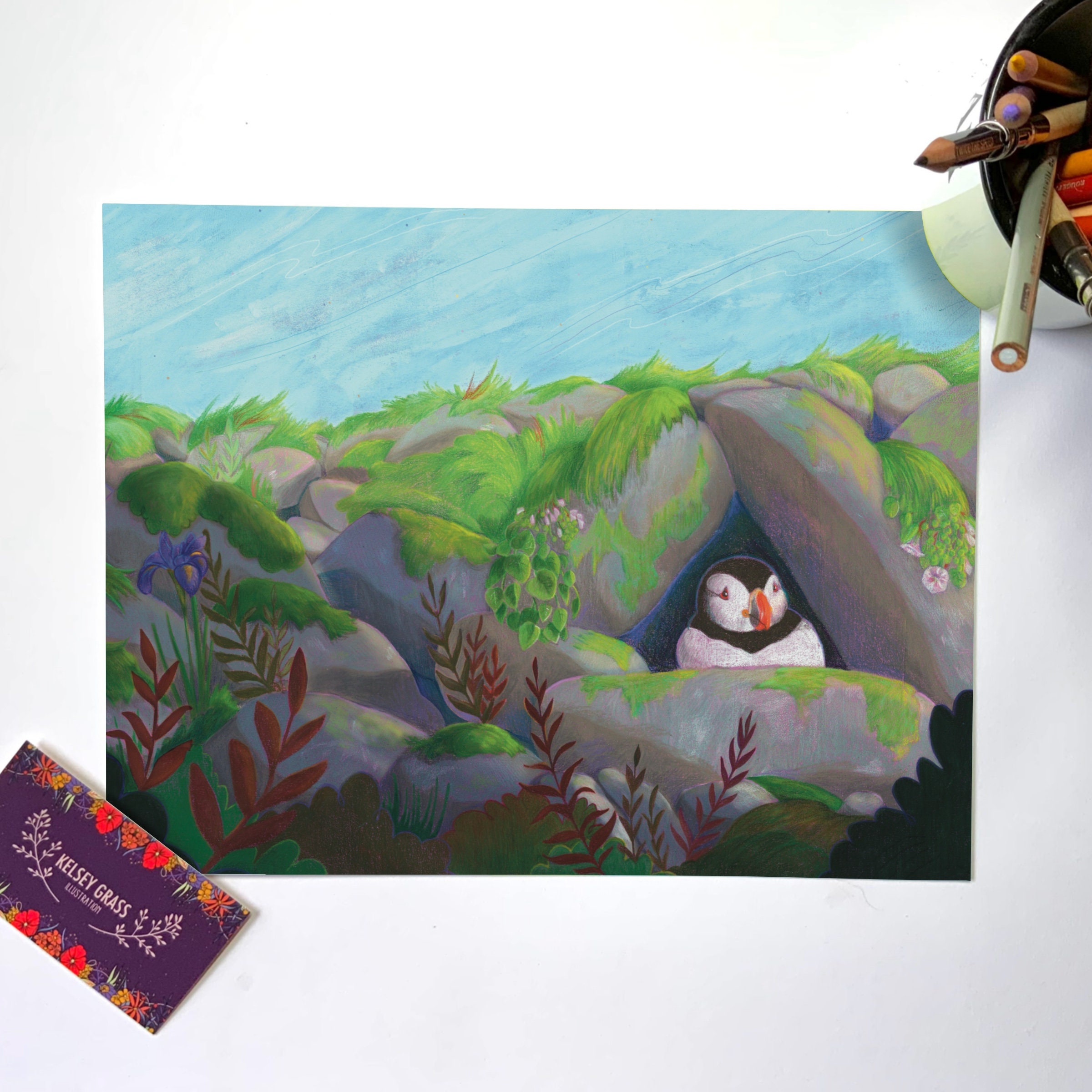 Puffin Burrow Illustrated Maine Bird Nature Print - Etsy