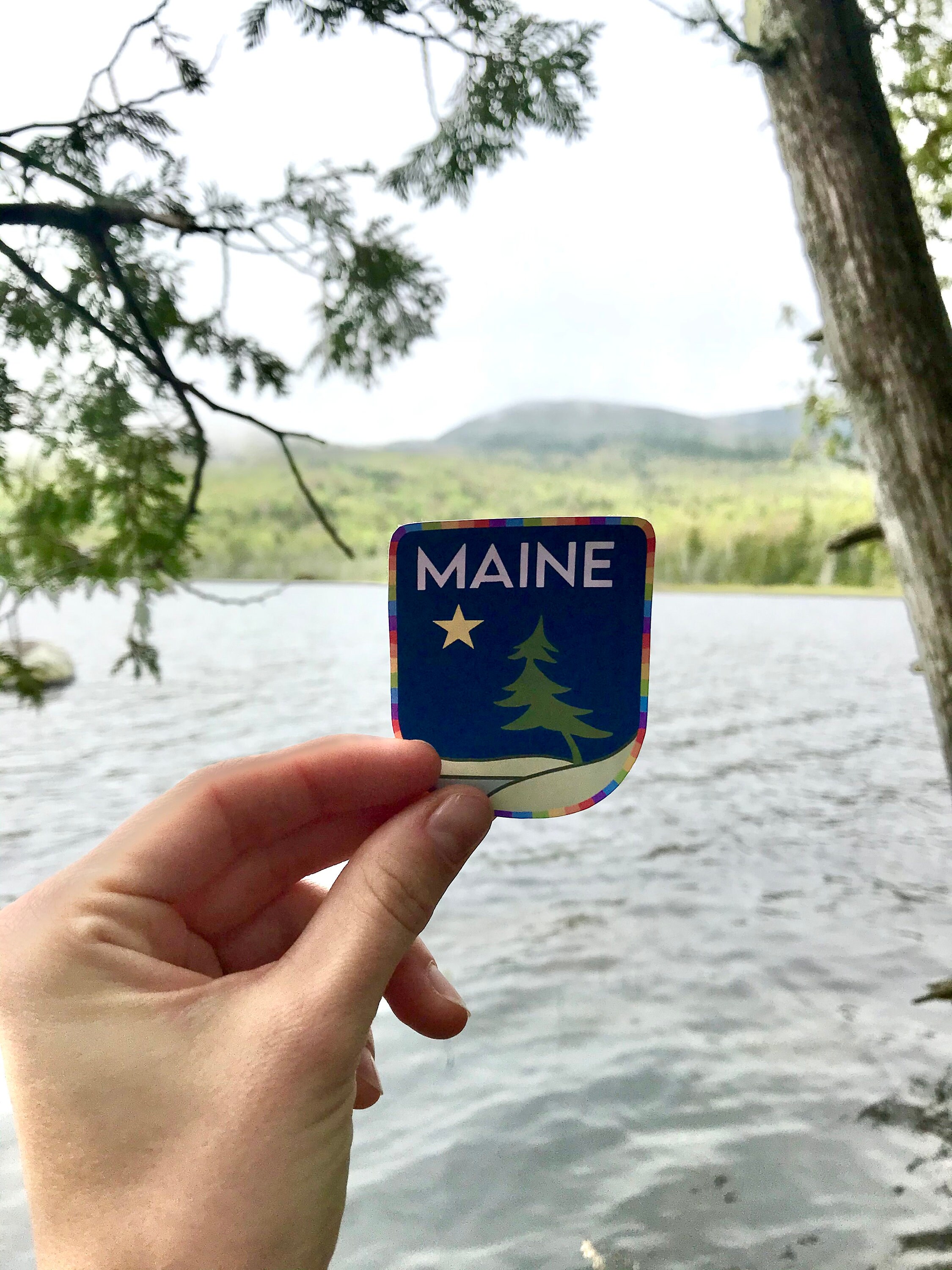 Small Blue Maine Patch Vinyl Sticker - Etsy