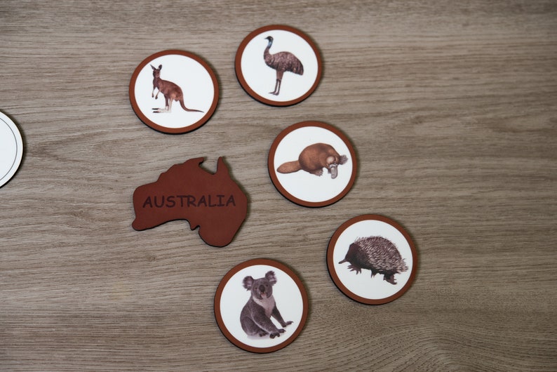 Montessori Geography Map With Realistic Animal Photos & Color-coded ...