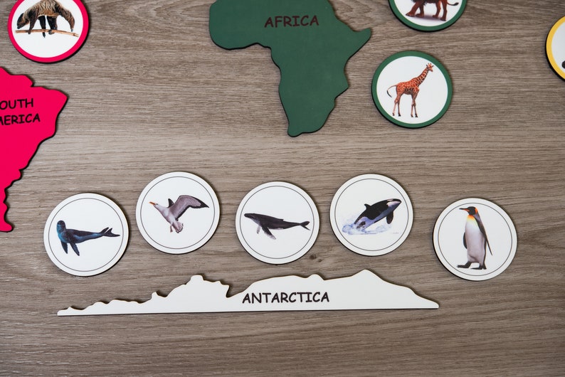 Montessori Geography Work Realistic Animal Photos Montessori Map Color ...