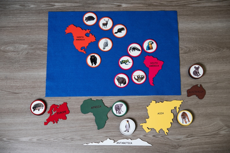 Montessori Geography Work Realistic Animal Photos Montessori Map Color ...